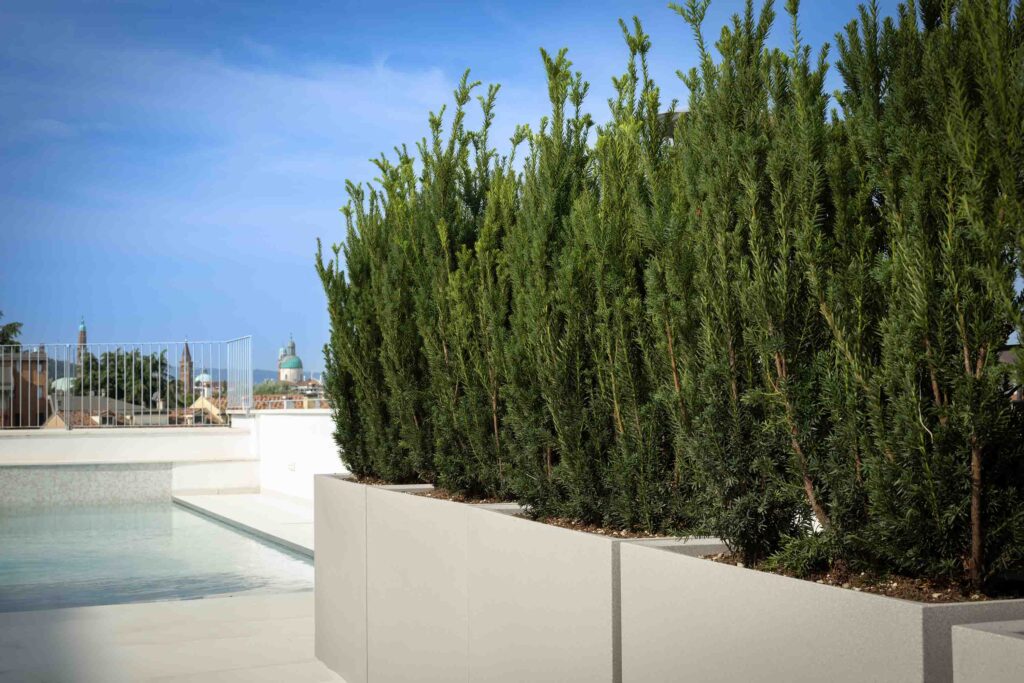 Oasi verde per un attico con piante da esterno. - Officina verde design